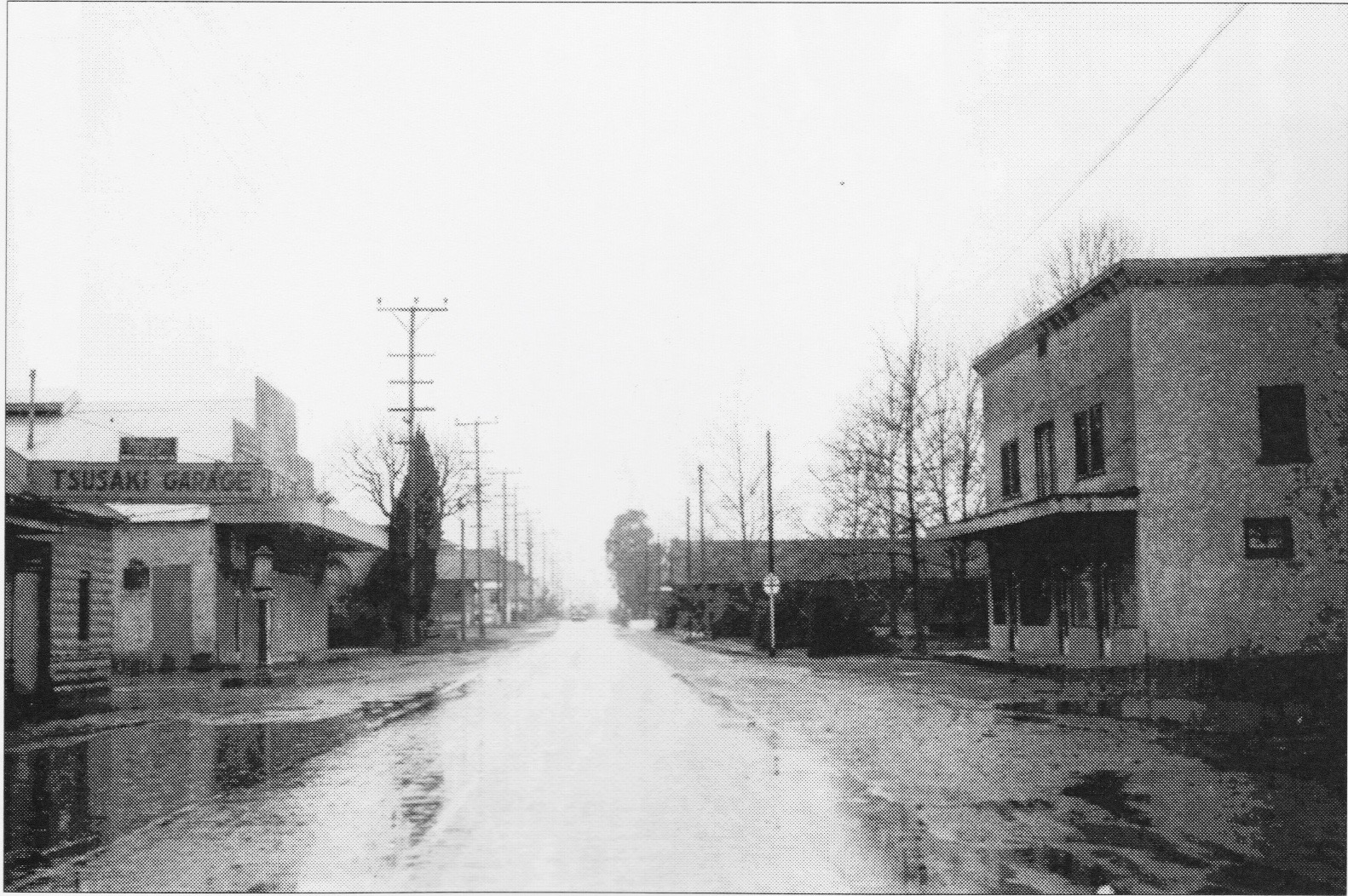 HISTORY – The Town of FLORIN – Elk Grove Historical Society