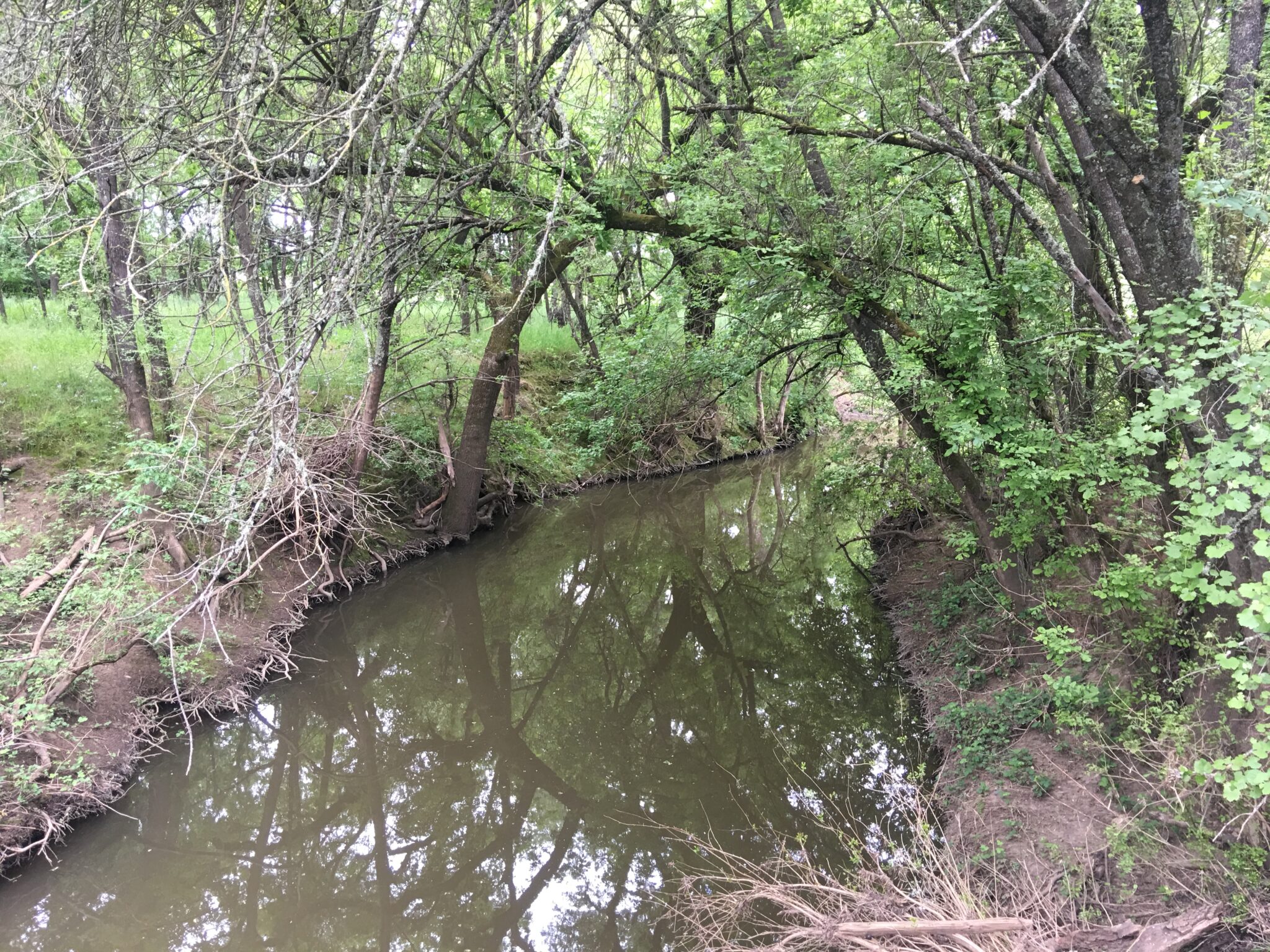 Sloughhouse – Elk Grove Historical Society